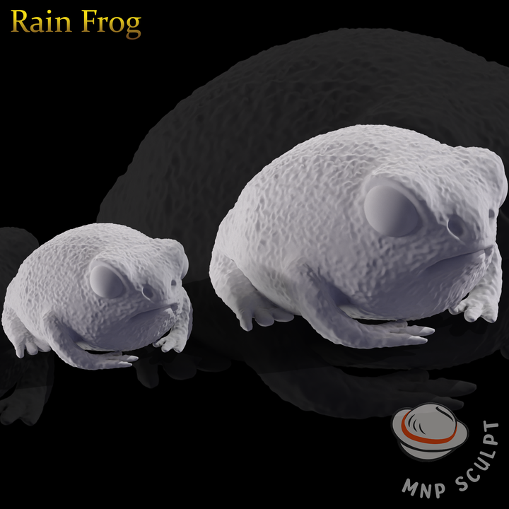 3D Printable Rain Frog by MNP Sculpt
