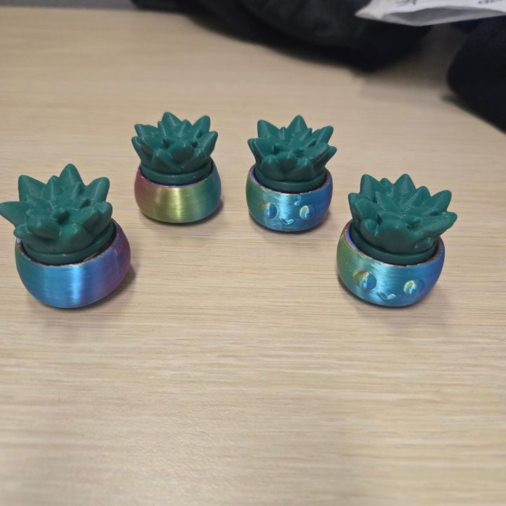 3D Printable Happy Succulent Plant Clicky Fidget and Keychain by ...