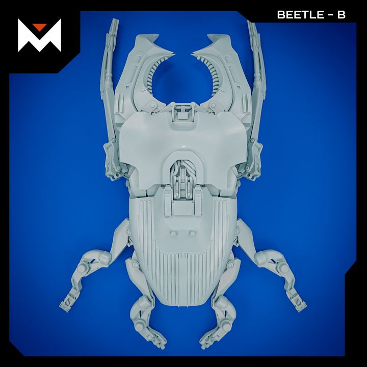 3D Printable Beetle-B by Mohammad hossein attaran