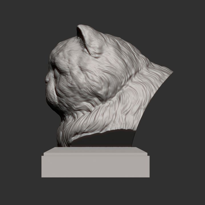 3D Printable Persian cat bust by Alexander3dart