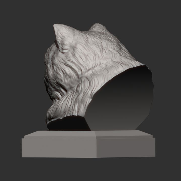 3D Printable Persian cat bust by Alexander3dart