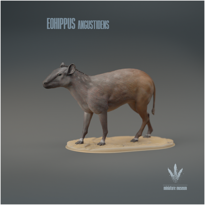 3D Printable Eohippus angustidens : The Dawn Horse by Miniature Museum