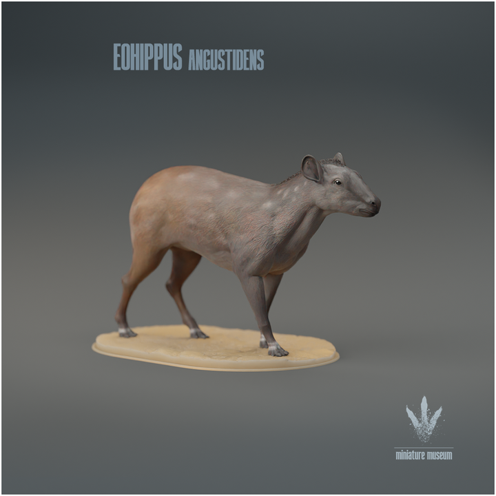 3D Printable Eohippus angustidens : The Dawn Horse by Miniature Museum