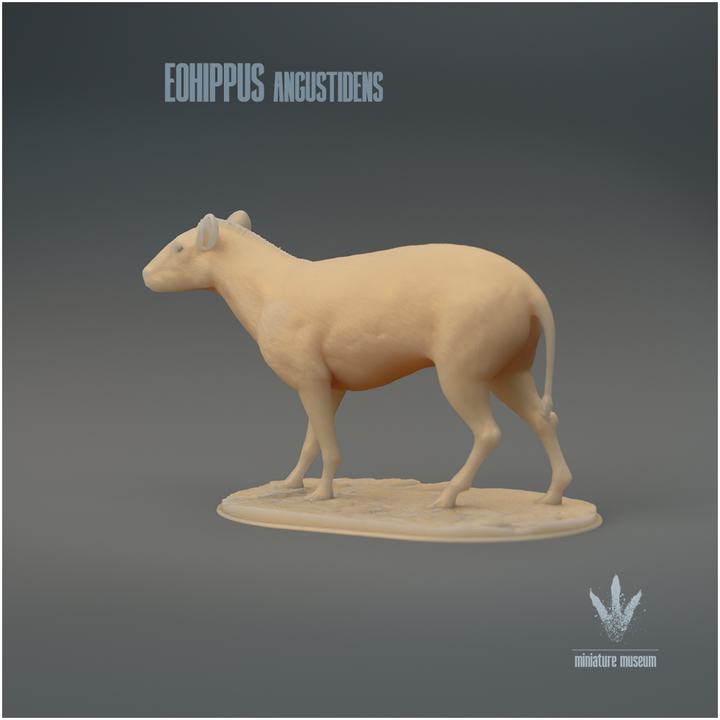 3D Printable Eohippus angustidens : The Dawn Horse by Miniature Museum