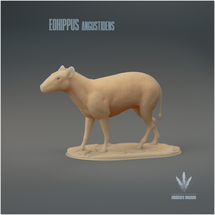 3D Printable Eohippus angustidens : The Dawn Horse by Miniature Museum