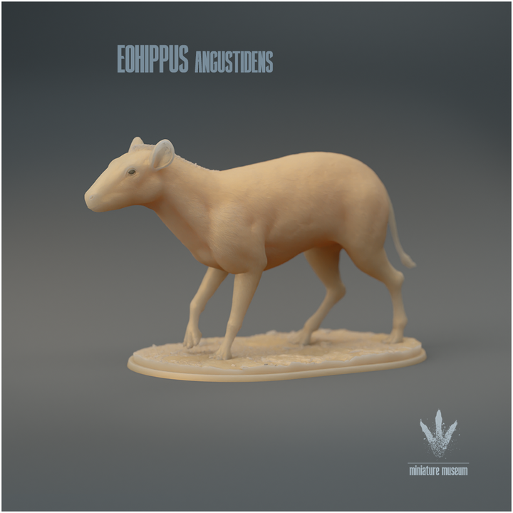 3D Printable Eohippus angustidens : Walking by Miniature Museum