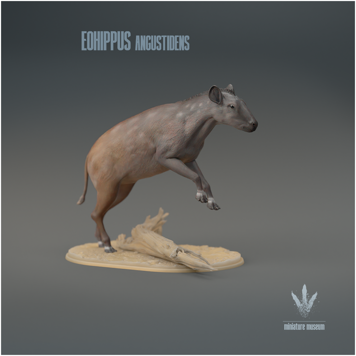 3D Printable Eohippus angustidens : Jump by Miniature Museum