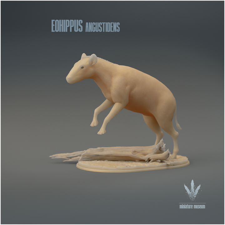 3D Printable Eohippus angustidens : Jump by Miniature Museum