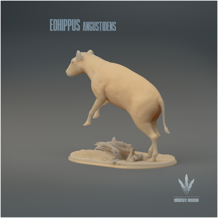 3D Printable Eohippus angustidens : Jump by Miniature Museum