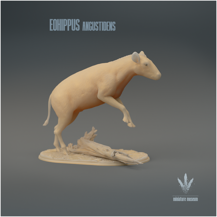 3D Printable Eohippus angustidens : Jump by Miniature Museum
