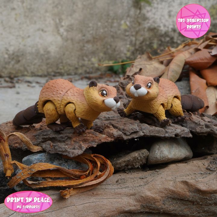3D Printable Flexi Beaver by TriDimensionPrints