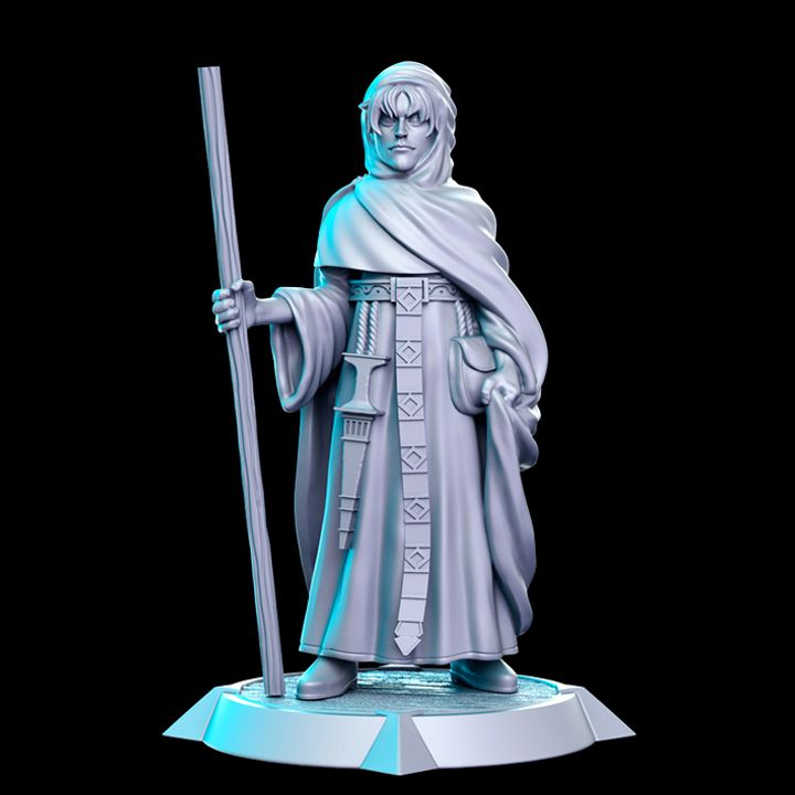 3D Printable PRE-SUPPORTED Order of the Iron Lily II - 32mm - DnD by RN ...