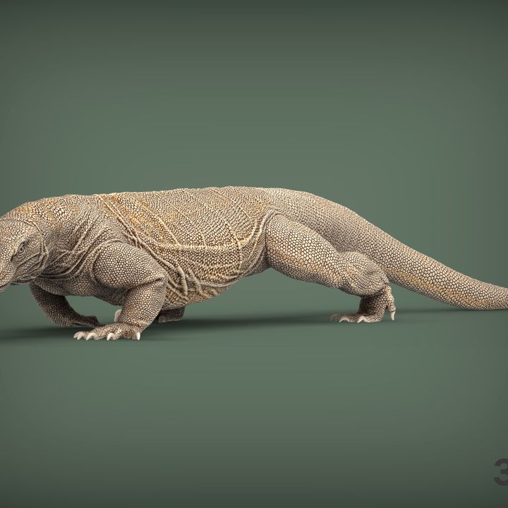 3D Printable Komodo Dragon 3D print model by Alexander3dart