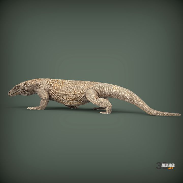 3D Printable Komodo Dragon 3D print model by Alexander3dart