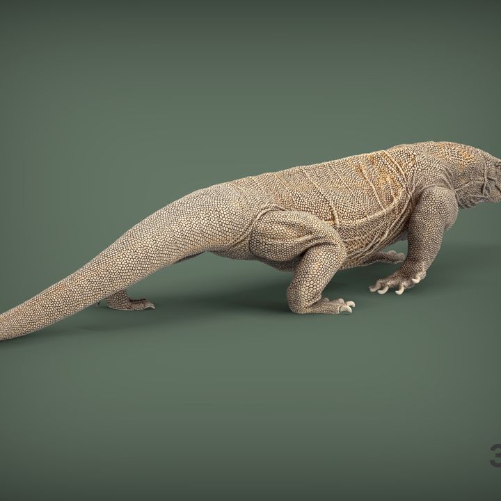 3D Printable Komodo Dragon 3D print model by Alexander3dart