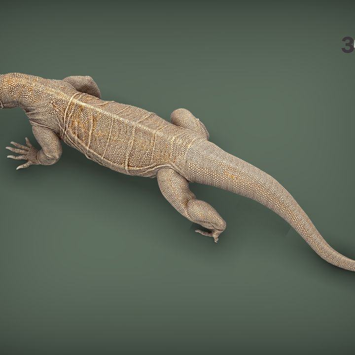 3D Printable Komodo Dragon 3D print model by Alexander3dart
