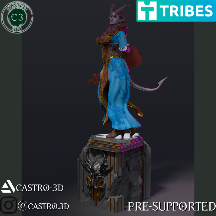 3D Printable The Bard of Elturel - BG3 Collection Mini 75mm and 32mm by ...