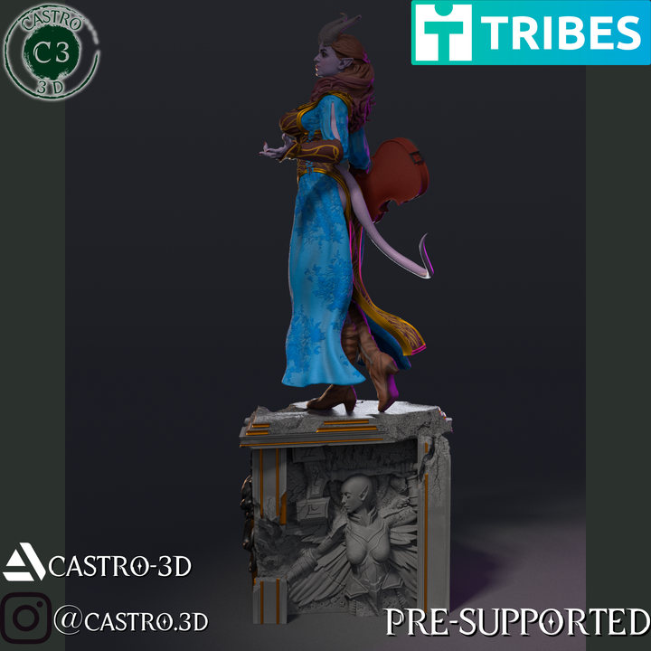 3D Printable The Bard of Elturel - BG3 Collection Mini 75mm and 32mm by ...