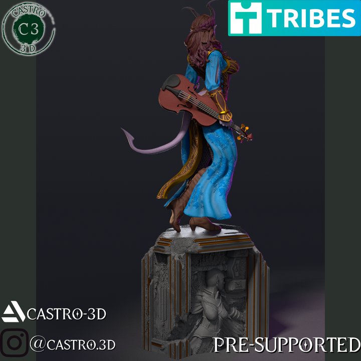 3D Printable The Bard of Elturel - BG3 Collection Mini 75mm and 32mm by ...