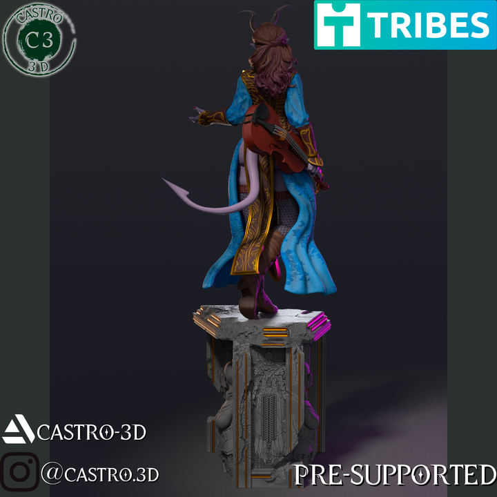 3D Printable The Bard of Elturel - BG3 Collection Mini 75mm and 32mm by ...