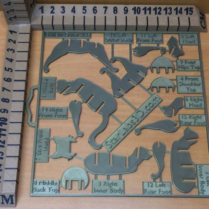 3D Printable Cat Kit Card by Star Labs 3D, LLC