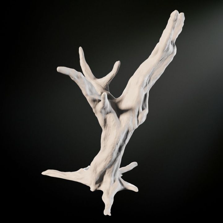 3D Printable Dead Tree by WargamesCo