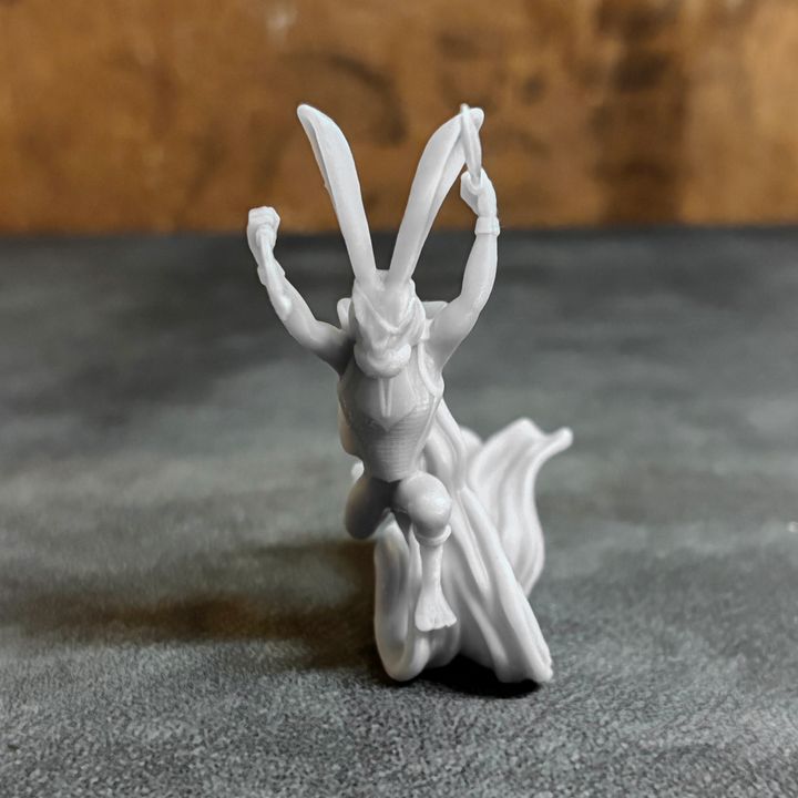 3D Printable Hare-Kin Rogue - Cantrip Craftworks by Cantrip Craftworks