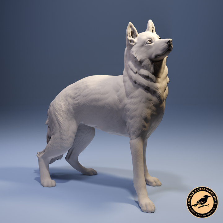 3D Printable Husky by Animals & Creatures Minis