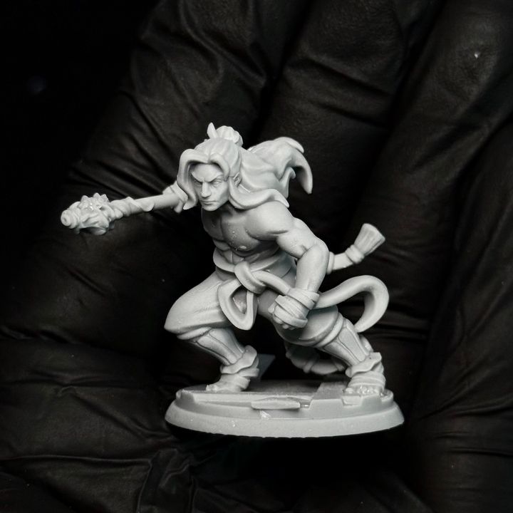 3D Printable Valerius The Shadow Monk [PRE-SUPPORTED] Rogue Assasin ...