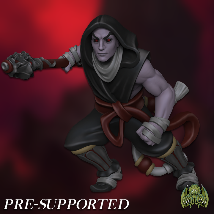 3D Printable Alternative Valerius The Shadow Monk [PRE-SUPPORTED] Rogue ...