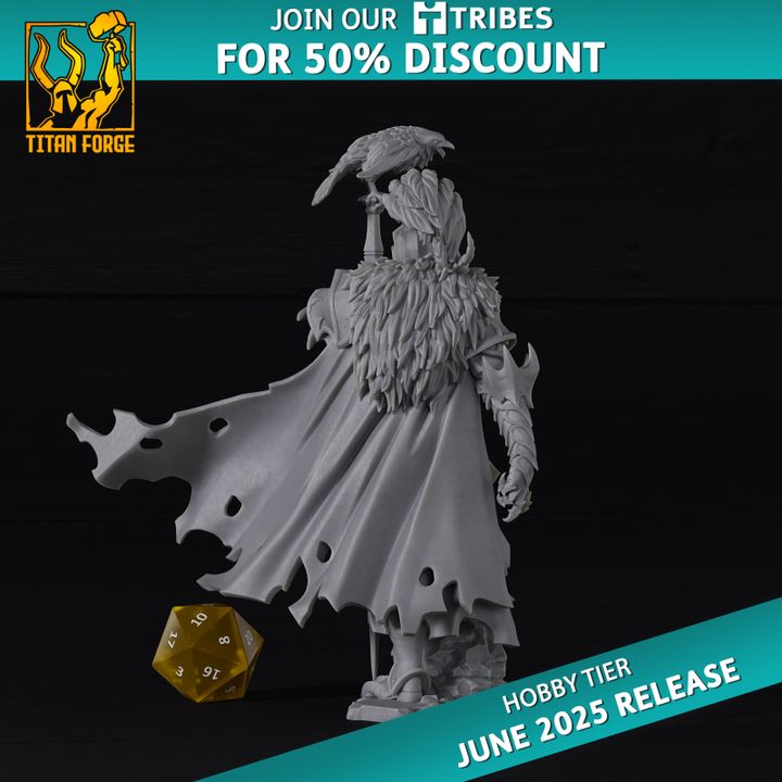 3D Printable Raven Knight - Hobby 75mm model. by Titan Forge Miniatures