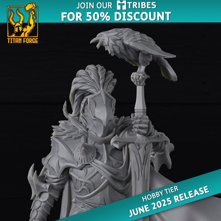 3D Printable Raven Knight - Hobby 75mm model. by Titan Forge Miniatures