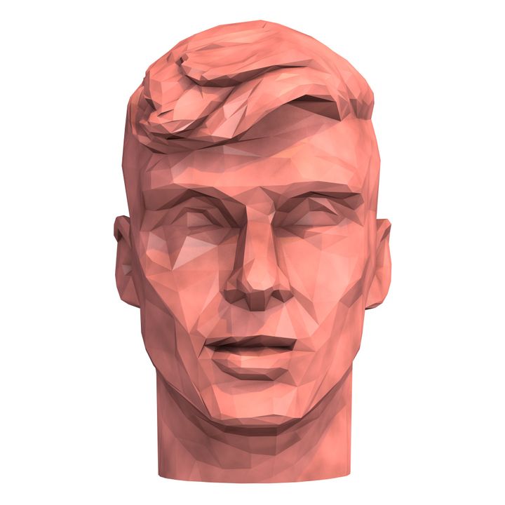 3D Printable Man Head Low Poly by 1xMerch
