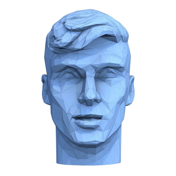3D Printable Man Head Low Poly by 1xMerch