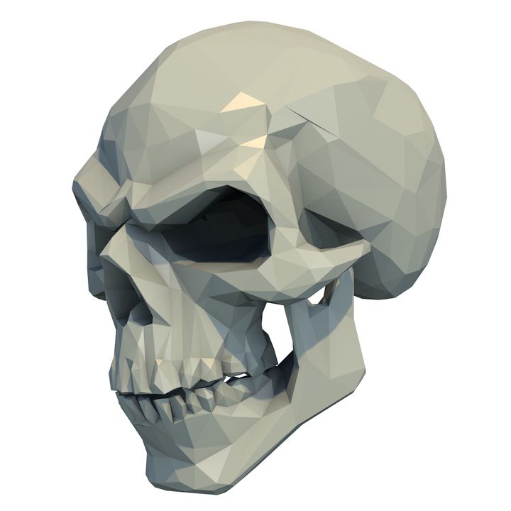 3D Printable Skull Low Poly by 1xMerch