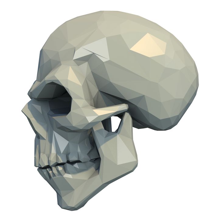 3D Printable Skull Low Poly by 1xMerch