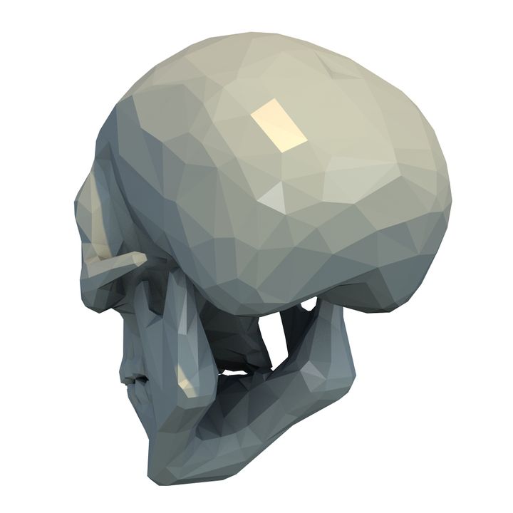 3D Printable Skull Low Poly by 1xMerch