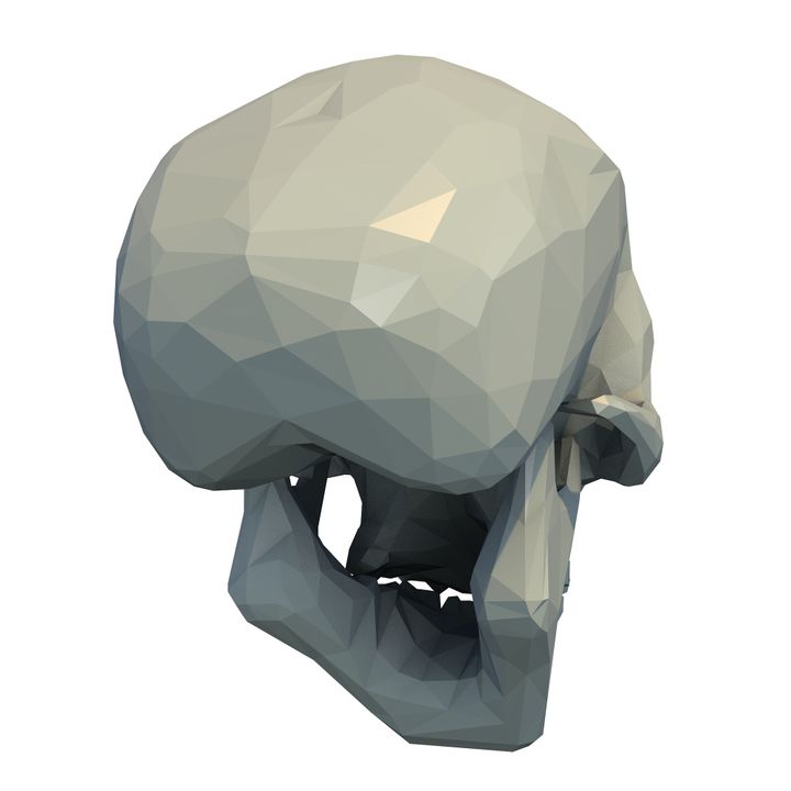 3D Printable Skull Low Poly by 1xMerch