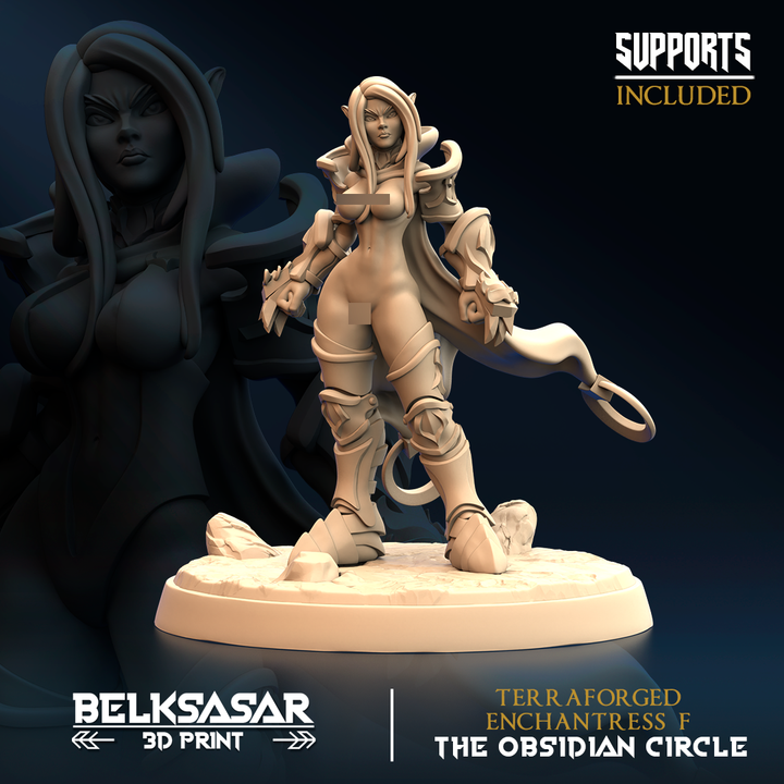 3D Printable The Obsidian Circle - Crusader by Belksasar