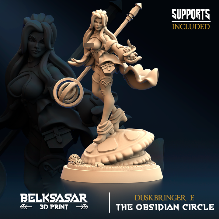 3D Printable The Obsidian Circle - Crusader by Belksasar