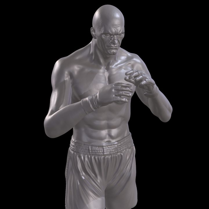 3D Printable MMA Fighter for 3D Print by Andryuha1981