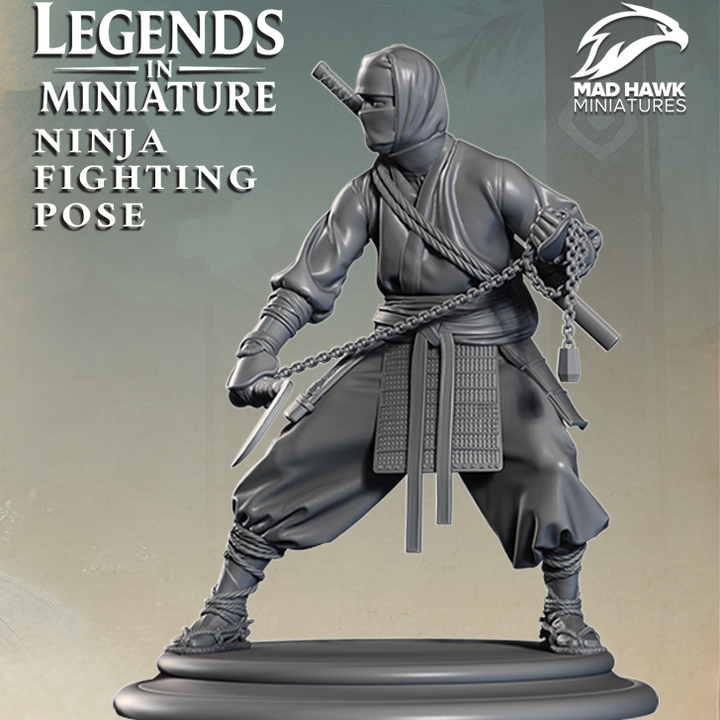 3D Printable Ninja in Fighting Pose by Mad Hawk Miniatures