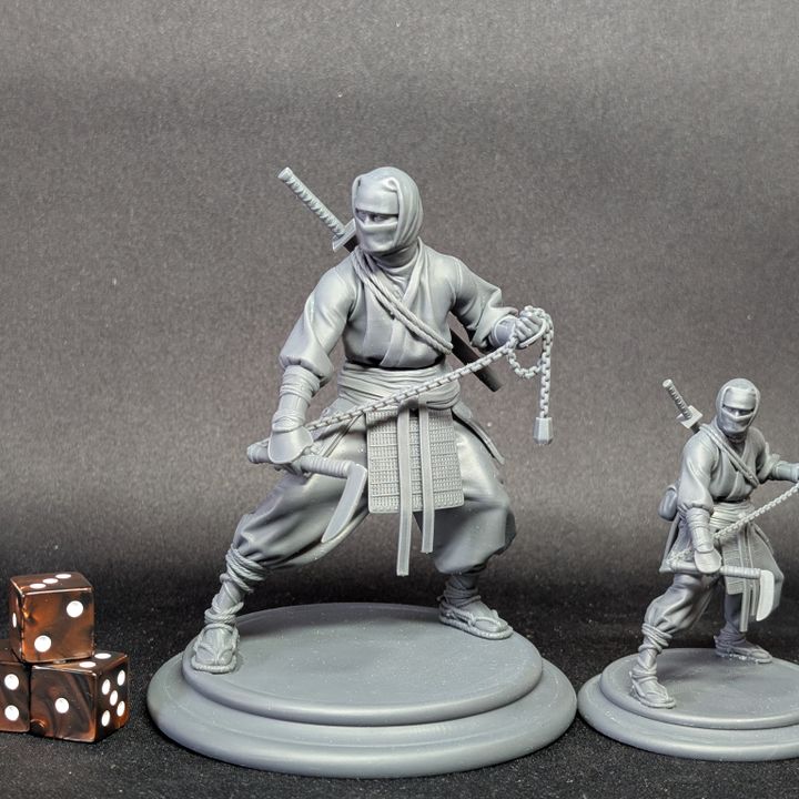 3D Printable Ninja in Fighting Pose by Mad Hawk Miniatures