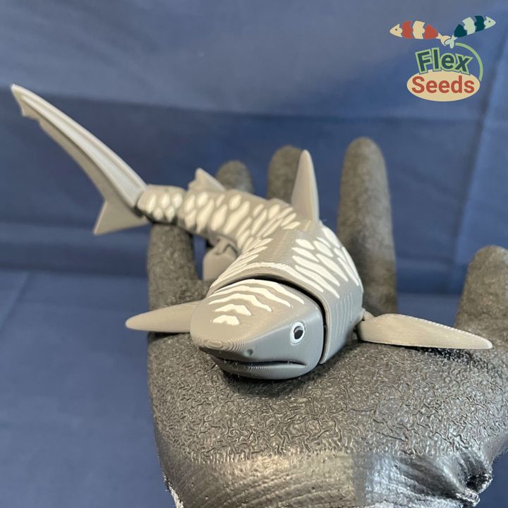 3D Printable Flexi Tiger Shark Mark-Ⅱ(Print-in-place) by 3D Flexseeds