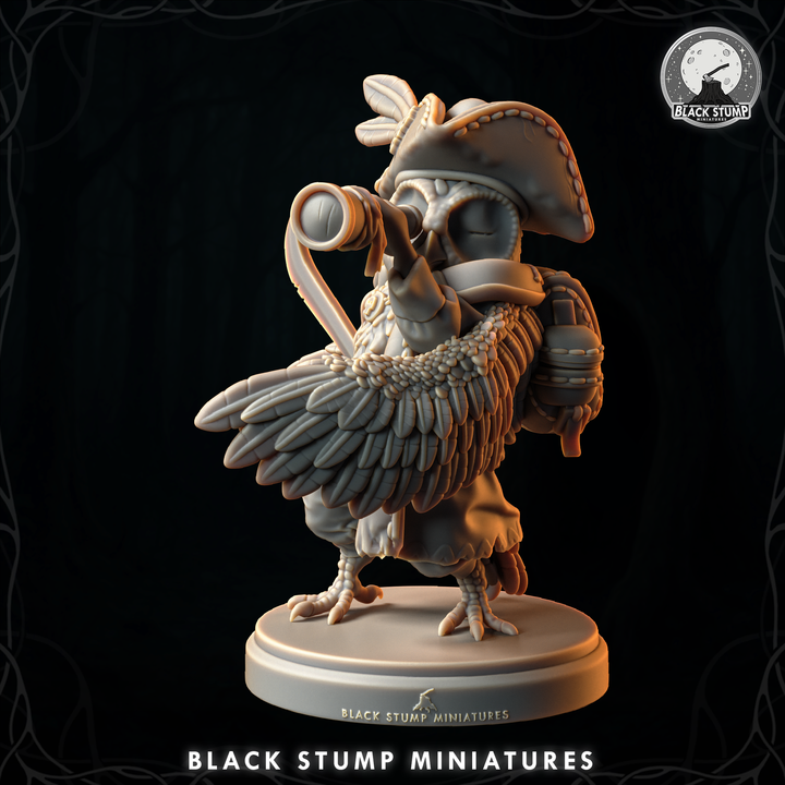 3D Printable Carves-Quick the Nightcaller Pirate + Original Race 5E ...