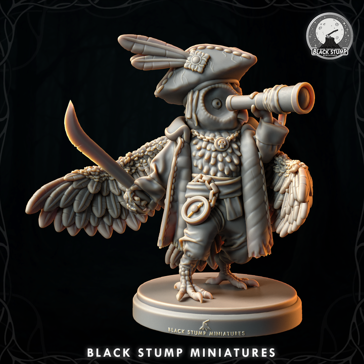 3D Printable Carves-Quick the Nightcaller Pirate + Original Race 5E ...