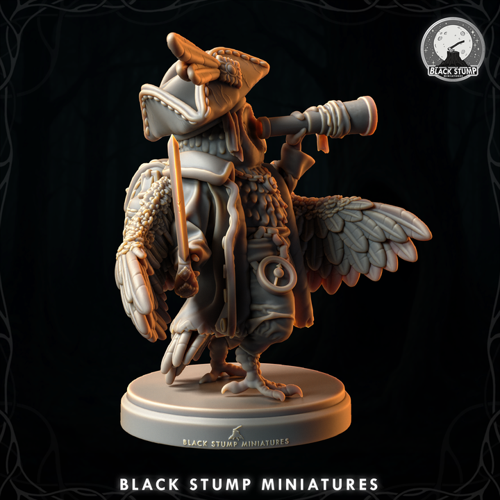 3D Printable Carves-Quick the Nightcaller Pirate + Original Race 5E ...