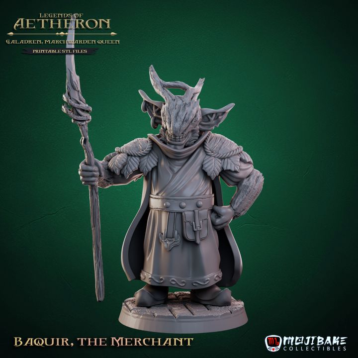 3D Printable Baquir, The goblin Merchant (Thalor Elves Skin) by ...