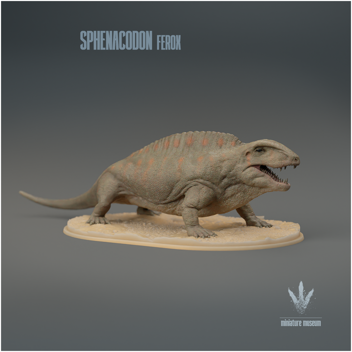 3D Printable Sphenacodon ferox : The Wedge Point Tooth by Miniature Museum
