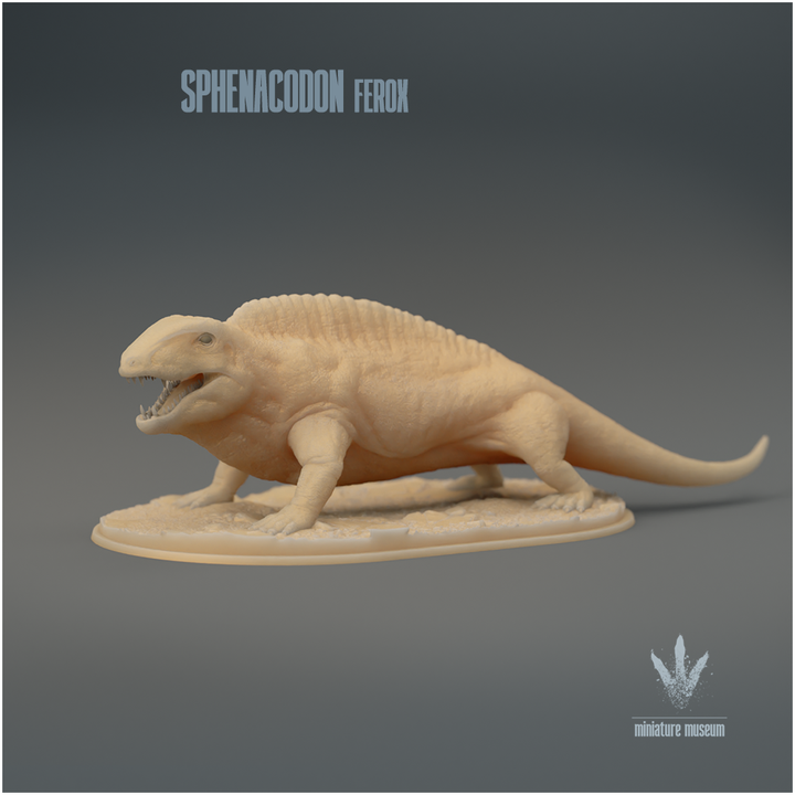 3D Printable Sphenacodon ferox : The Wedge Point Tooth by Miniature Museum